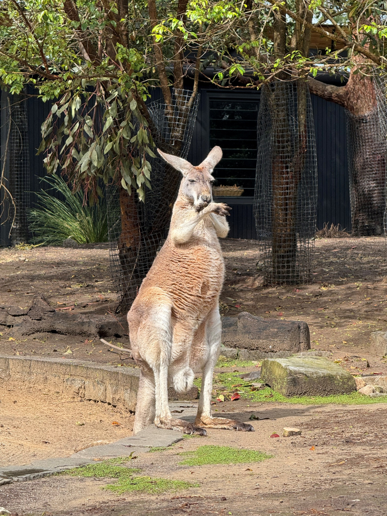 Episode 95 - The Angry Clean Energy Guy